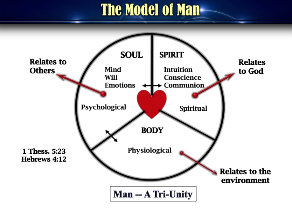 Diagram Slides | Grace Counselor